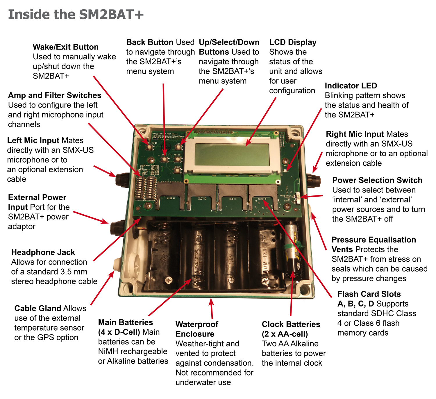 SM2BAT+ bat detector - getting started
