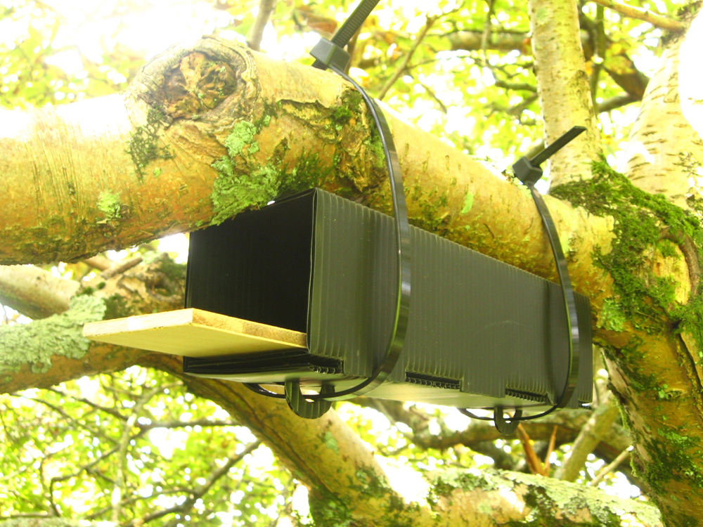 Dormouse Nest Tubes – fast, secure placement – Hoopoe – A blog by nhbs
