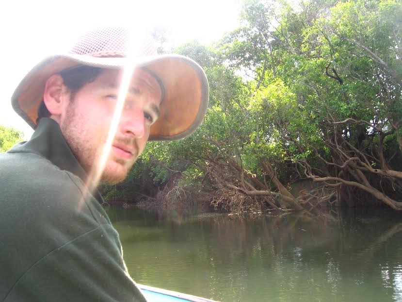 Interview with botanist James Byng, author of The Gymnosperms Handbook