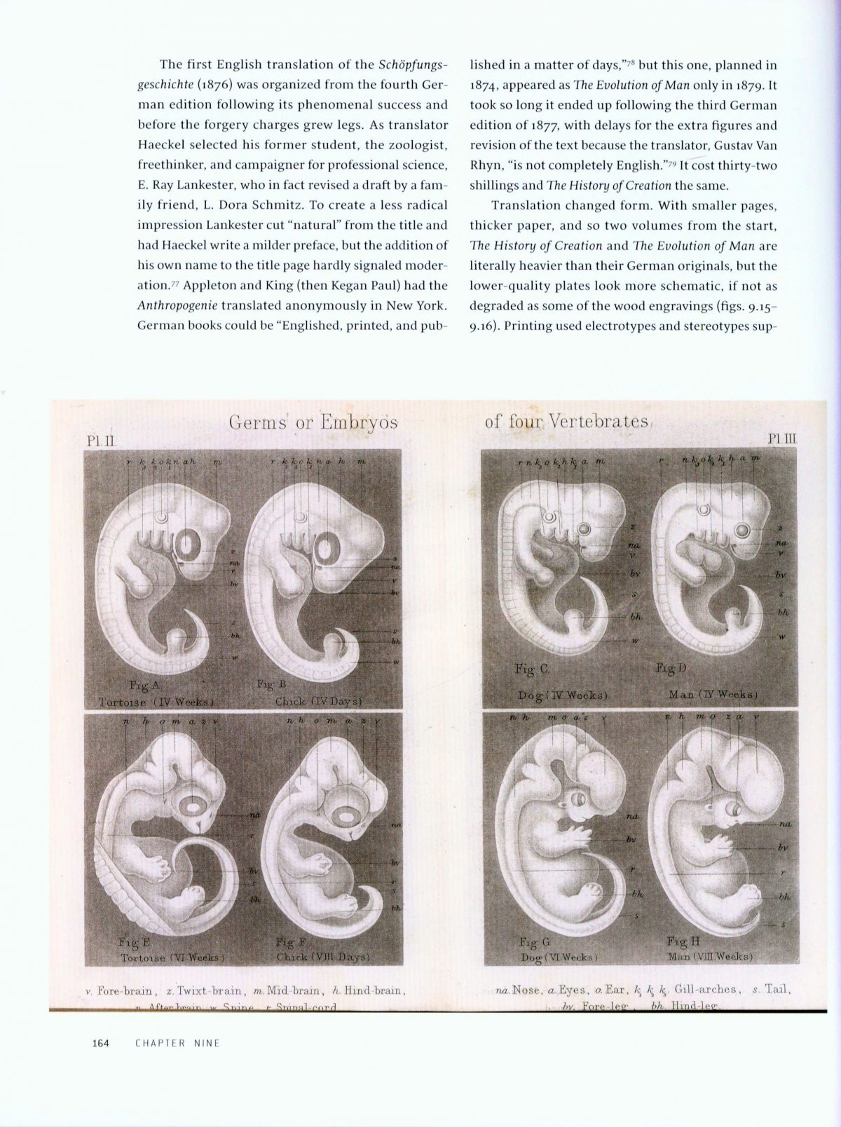 Book Review – Haeckel’s Embryos: Images, Evolution, and Fraud
