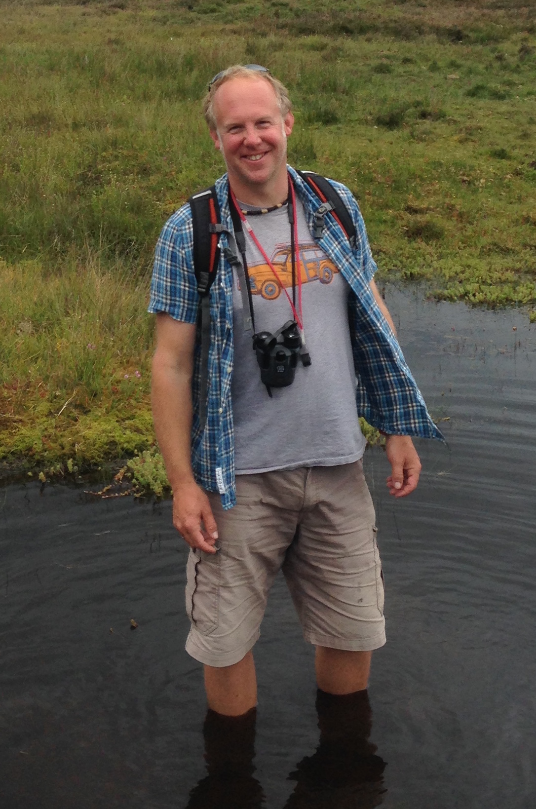 Grasses, sedges and rushes: an interview with Dominic Price – Hoopoe ...