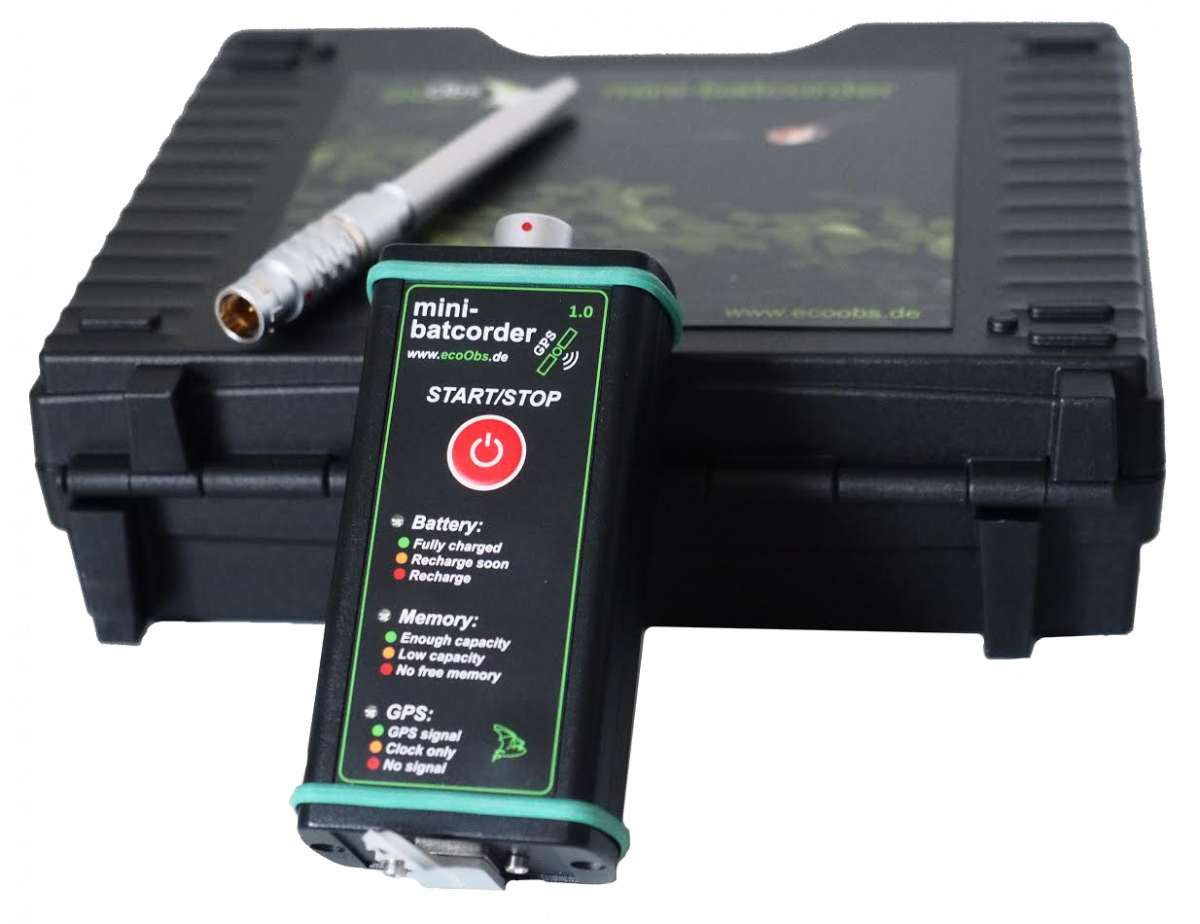 New Bat Detectors for Spring 2017 – Hoopoe – A blog by nhbs