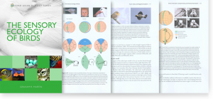 The Sensory Ecology of Birds: Interview with Graham Martin