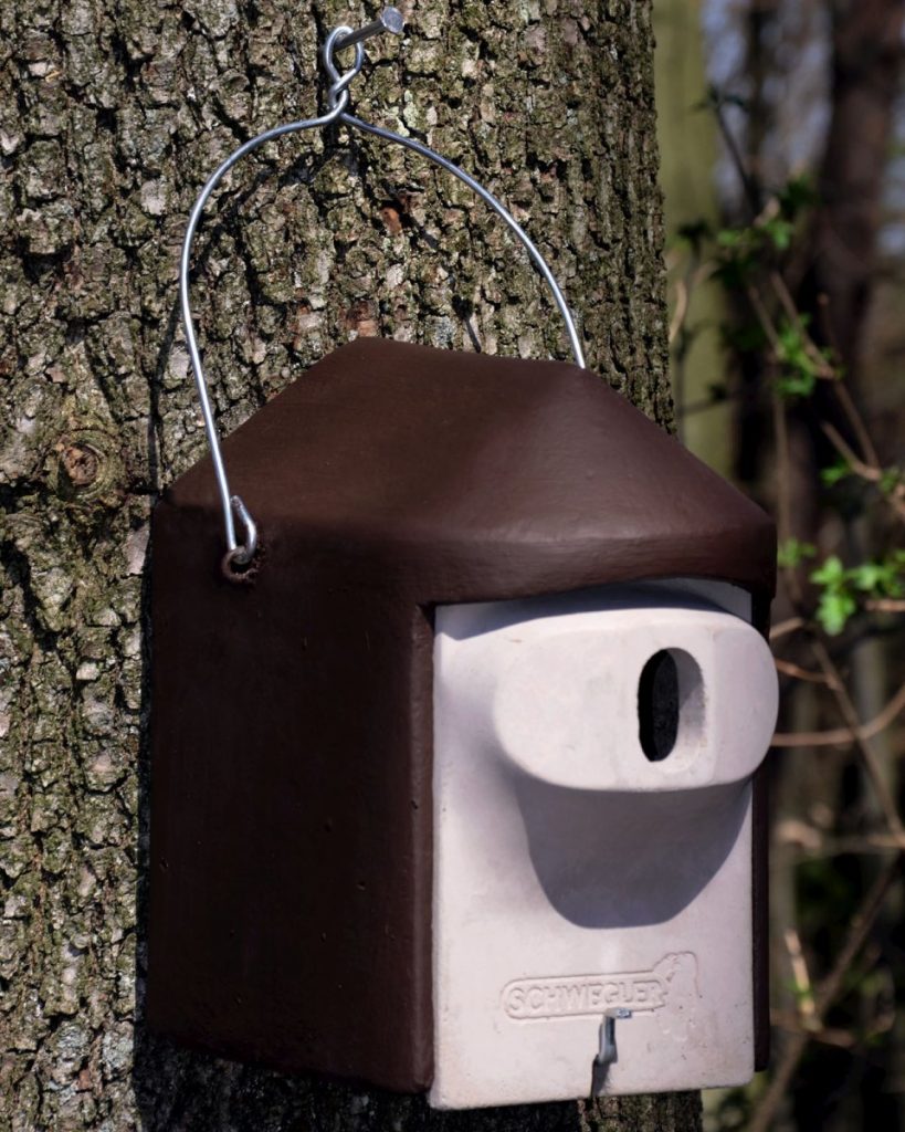 Top 10 Bird Boxes for Trees and Woodland