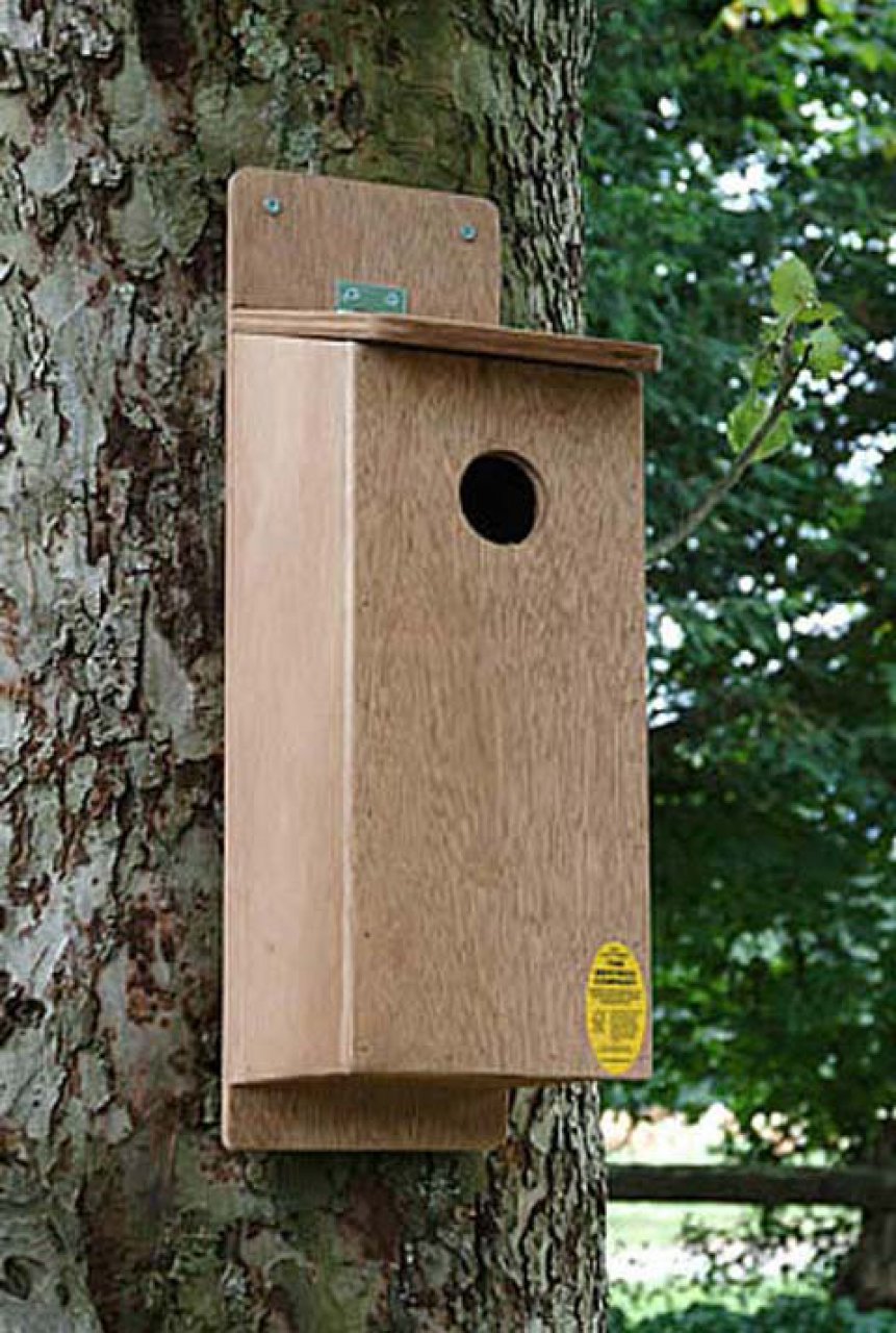 Top 10 Bird Boxes for Trees and Woodland – Hoopoe – A blog by nhbs