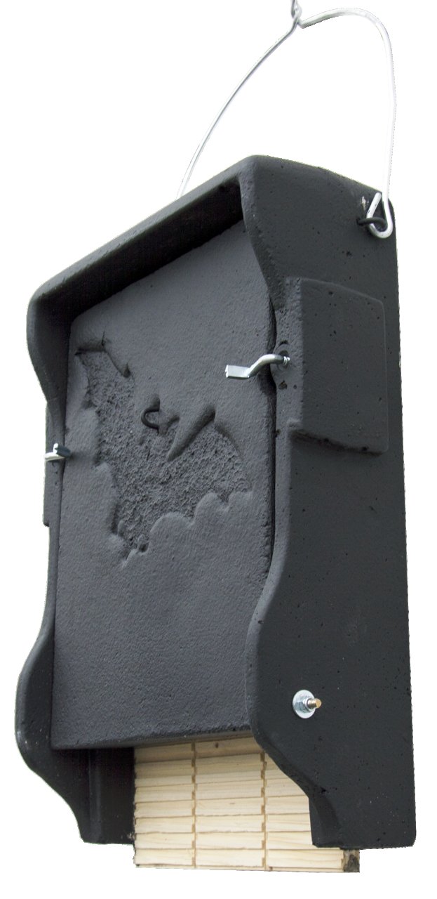 Top 10 Bat Boxes for Walls and Fences - Hoopoe - A blog by nhbs