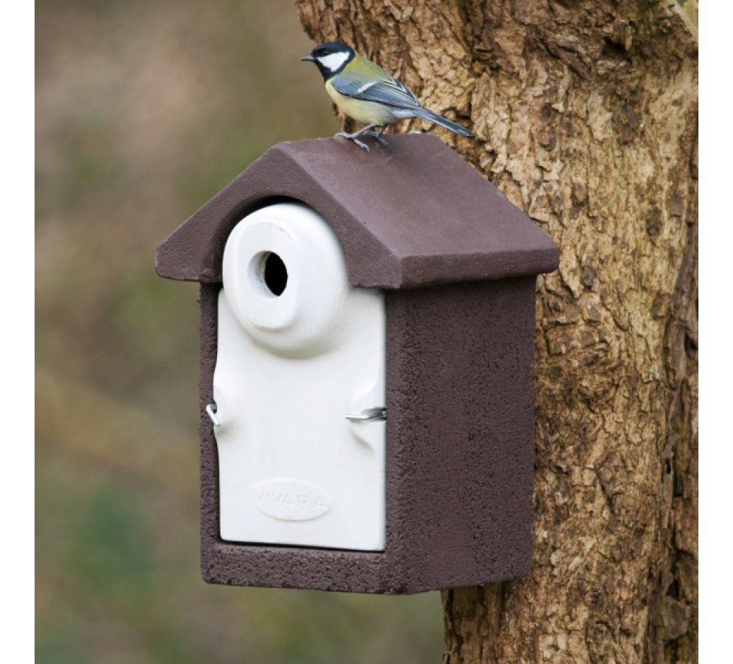 Top 10 Bird Boxes for Walls and Fences – Hoopoe – A blog by nhbs