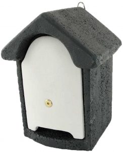 Top 10 Bat Boxes for Walls and Fences – Hoopoe – A blog by nhbs