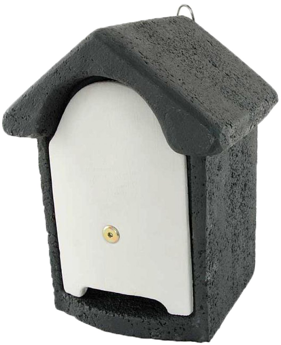 Top 10 Bat Boxes for Walls and Fences