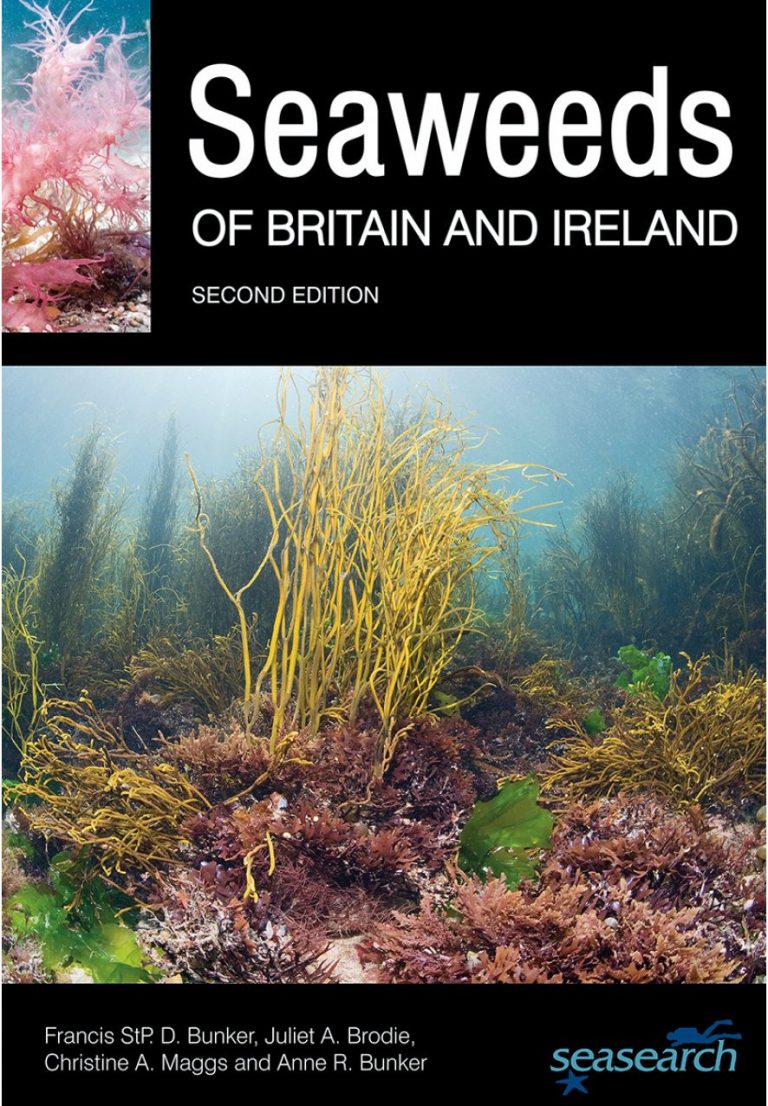 The NHBS Guide to UK Seaweed Identification