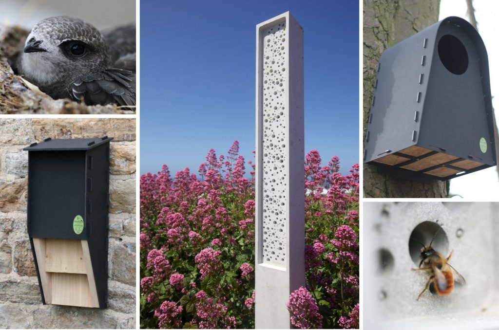 New bird, bat and bee boxes for 2019 – Hoopoe – A blog by nhbs