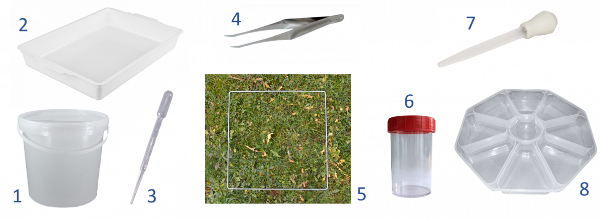 kick sampling4 - Hoopoe - A blog by nhbs