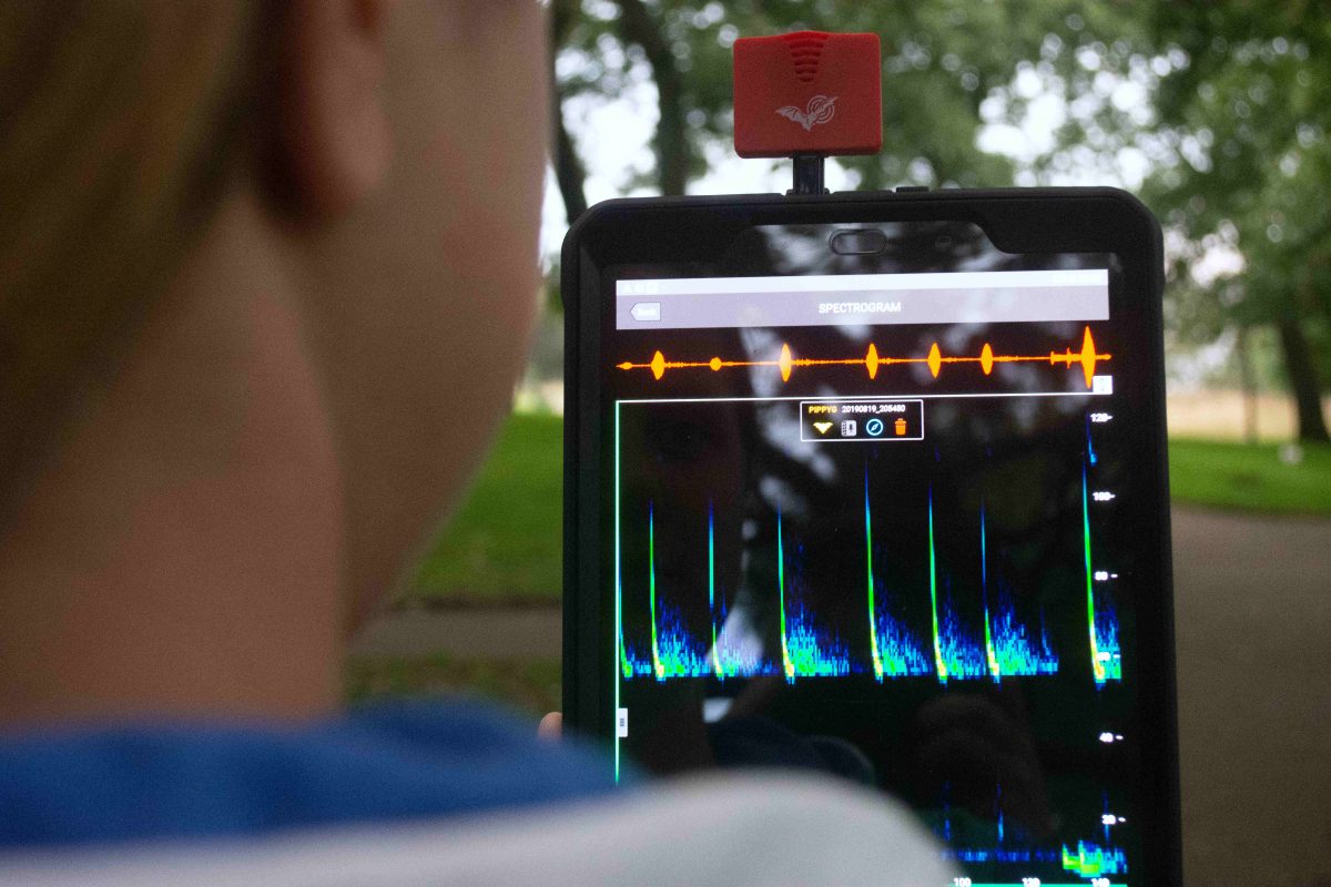 The NHBS Guide to Bat Detecting for Beginners – Hoopoe – A blog by nhbs