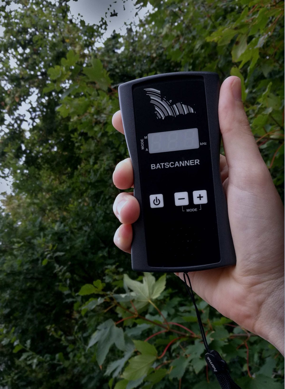 The NHBS Guide to Bat Detecting for Beginners – Hoopoe – A blog by nhbs