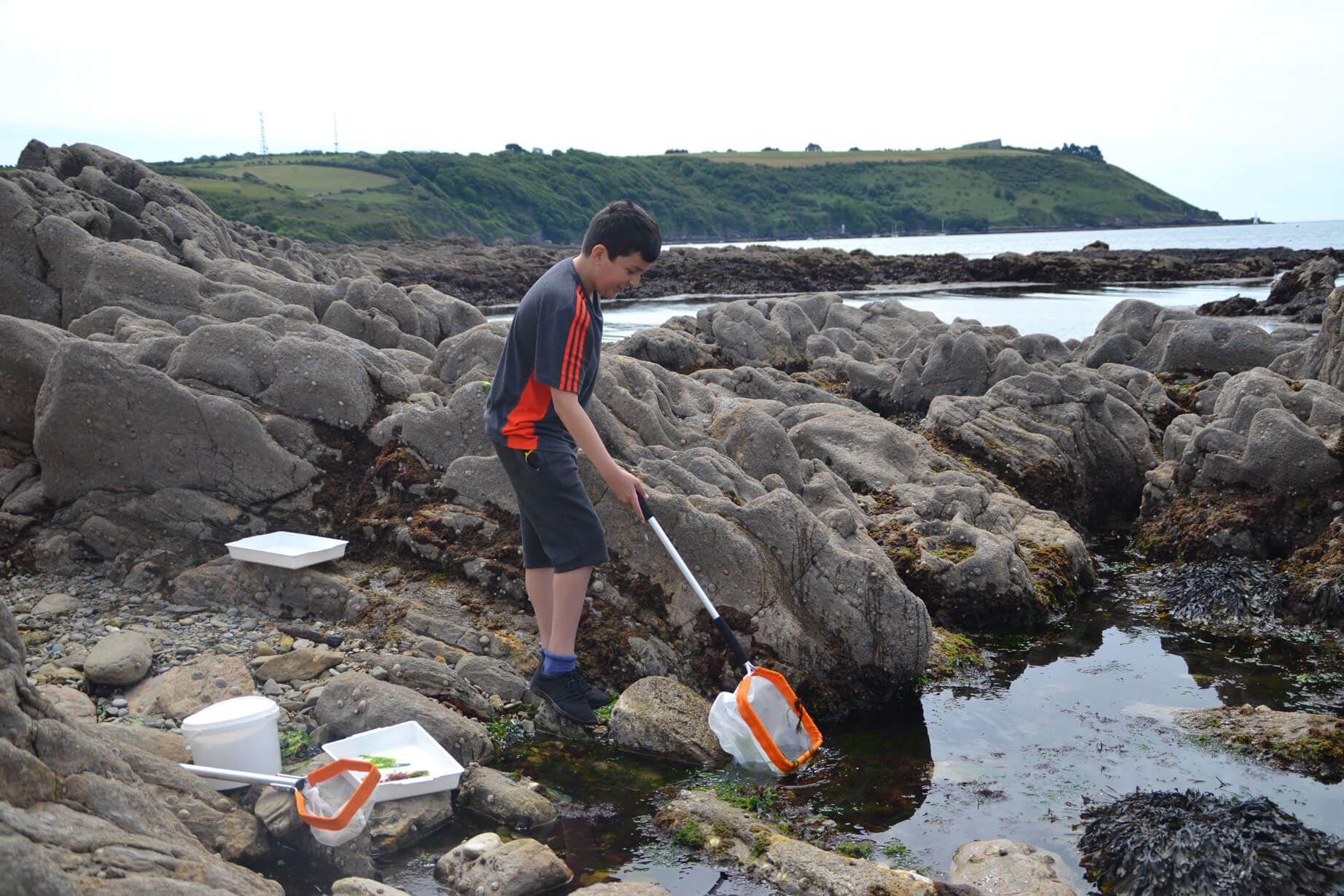 Wembury BioBlitz 2019- Interview with Nicholas Helm
