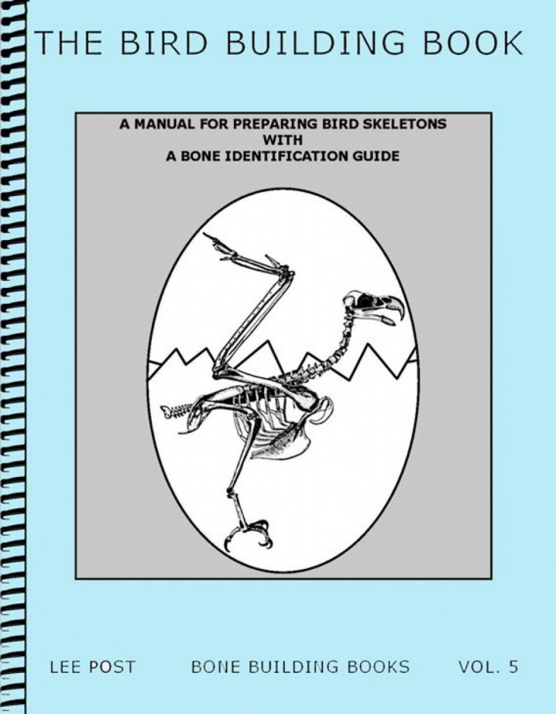 Bone Building Books: an interview with author Lee Post