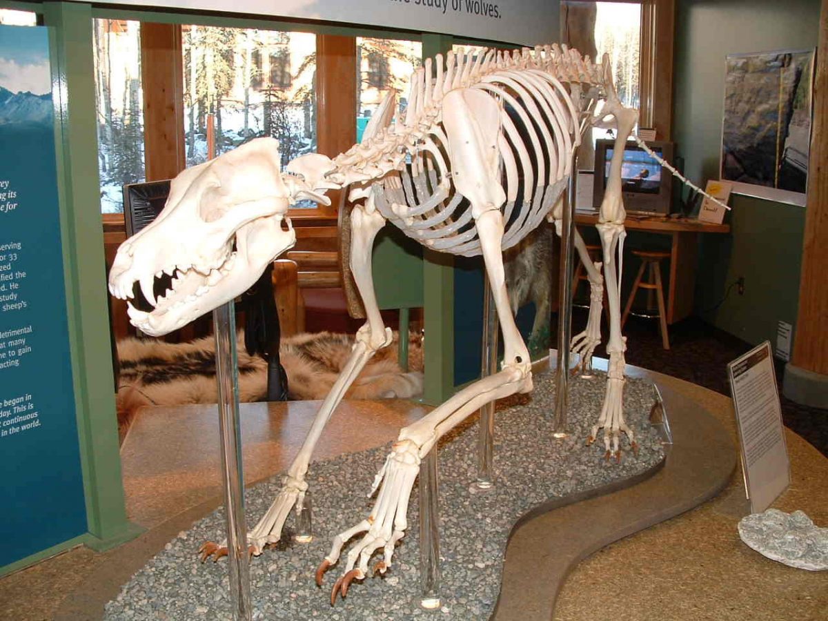 Bone Building Books: an interview with author Lee Post