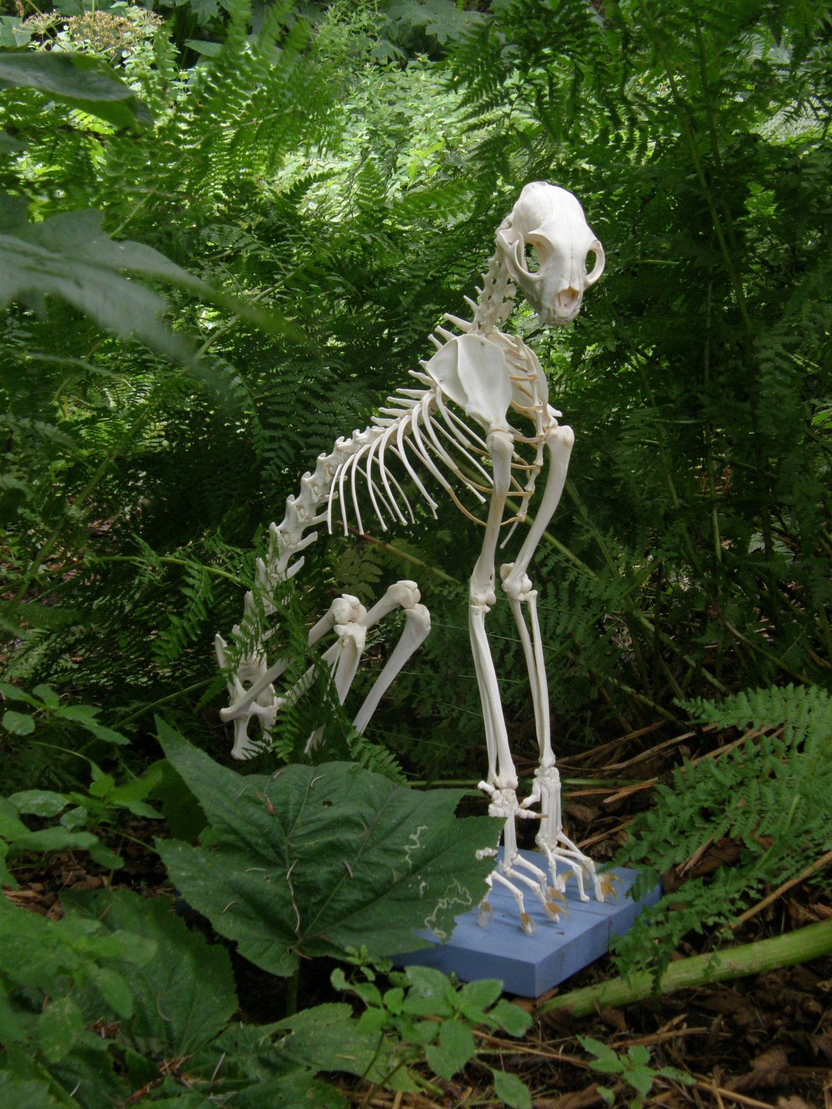 Bone Building Books: an interview with author Lee Post