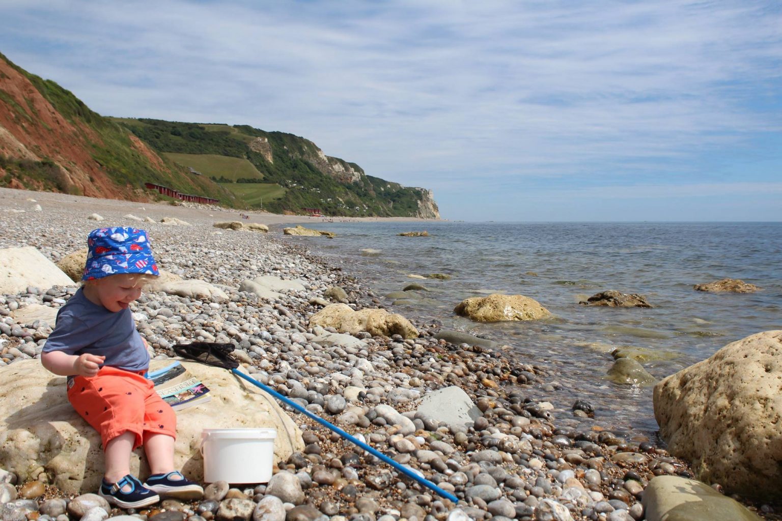 The NHBS Guide to Rockpooling