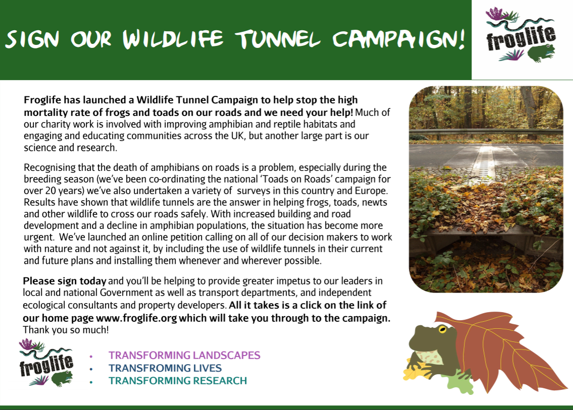 Froglife: Interview with CEO Kathy Wormald