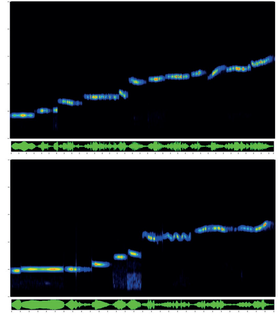 The Acoustic Identification of Small Mammals