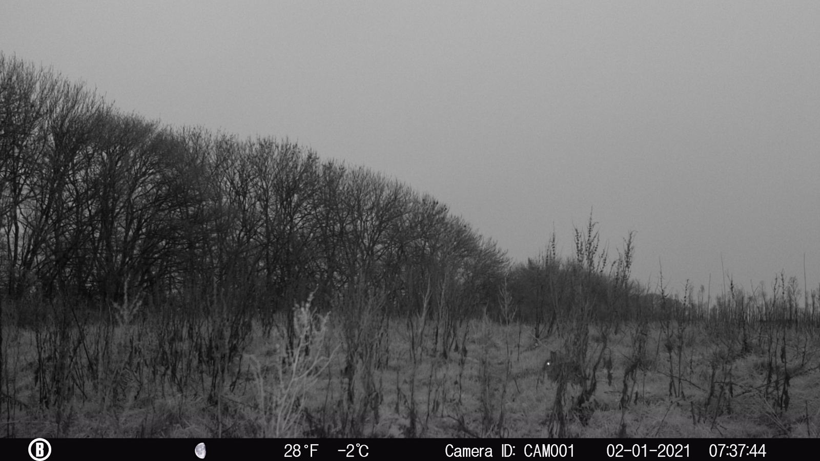 NHBS In the Field – Bushnell Prime Trail Camera