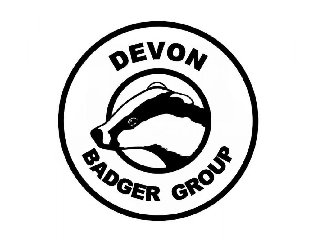 Devon Badger Group: Interview with Chair, Jenny Pike – Hoopoe – A blog ...