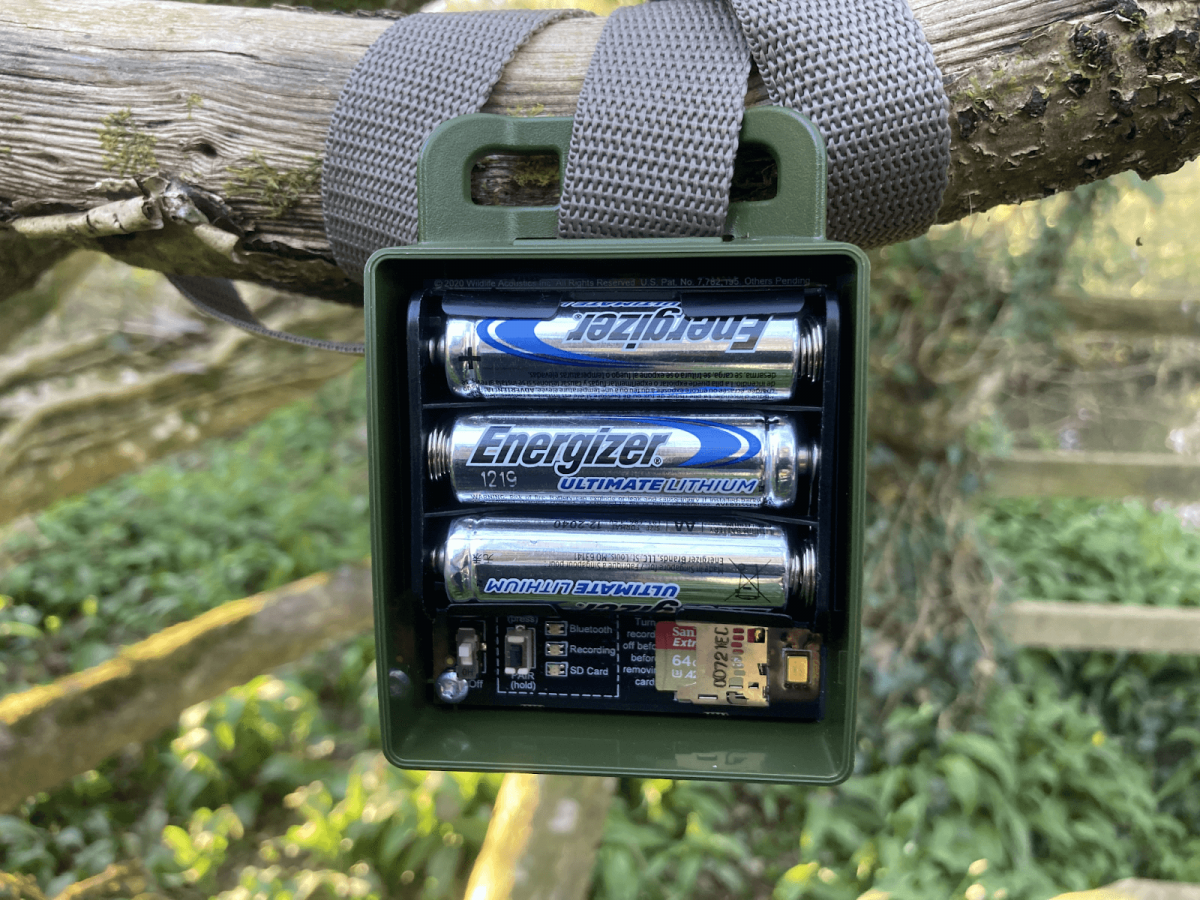 NHBS In the Field – Song Meter Micro