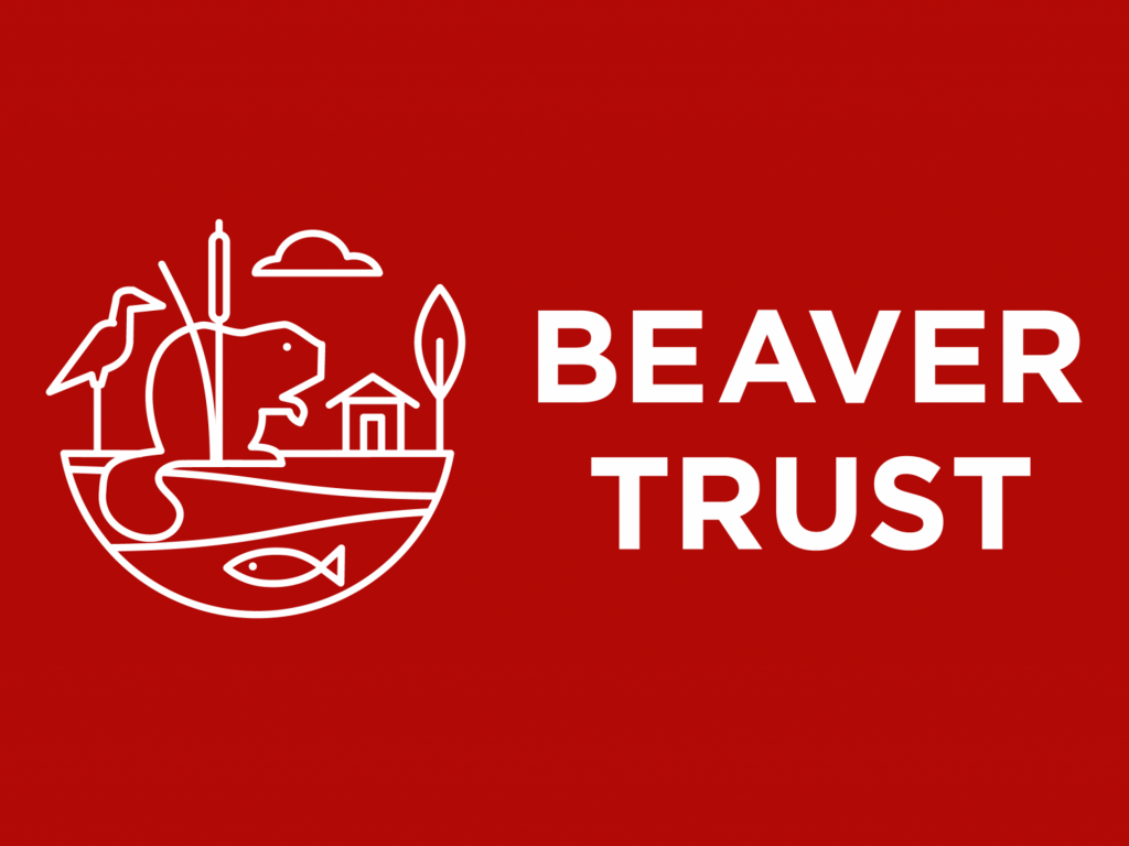 Beaver Trust: Q&A with Eva Bishop – Hoopoe – A blog by nhbs