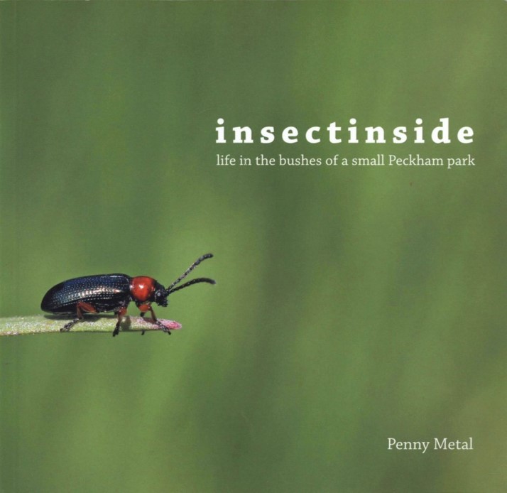 Author Interview with Penny Metal: Insectinside