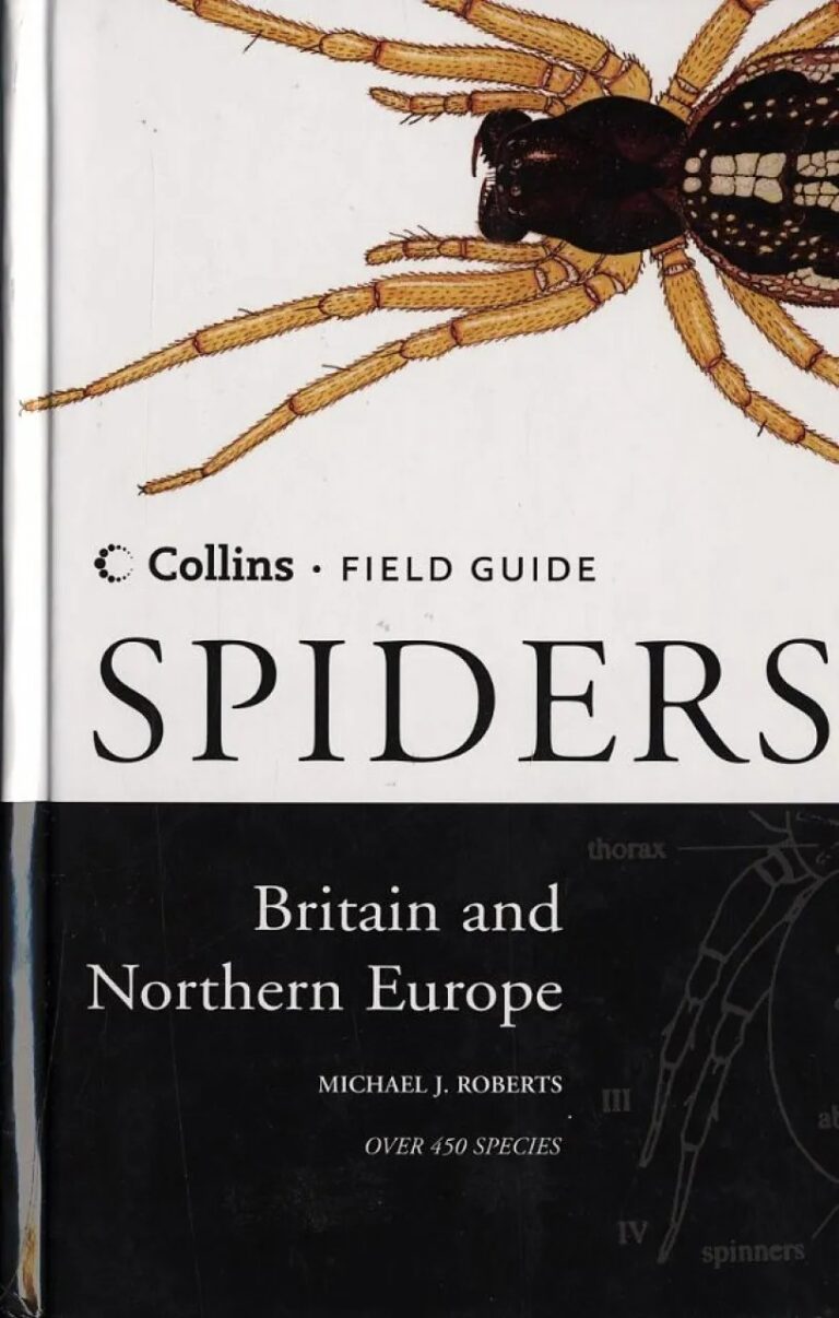 The NHBS Guide to UK Spider Identification
