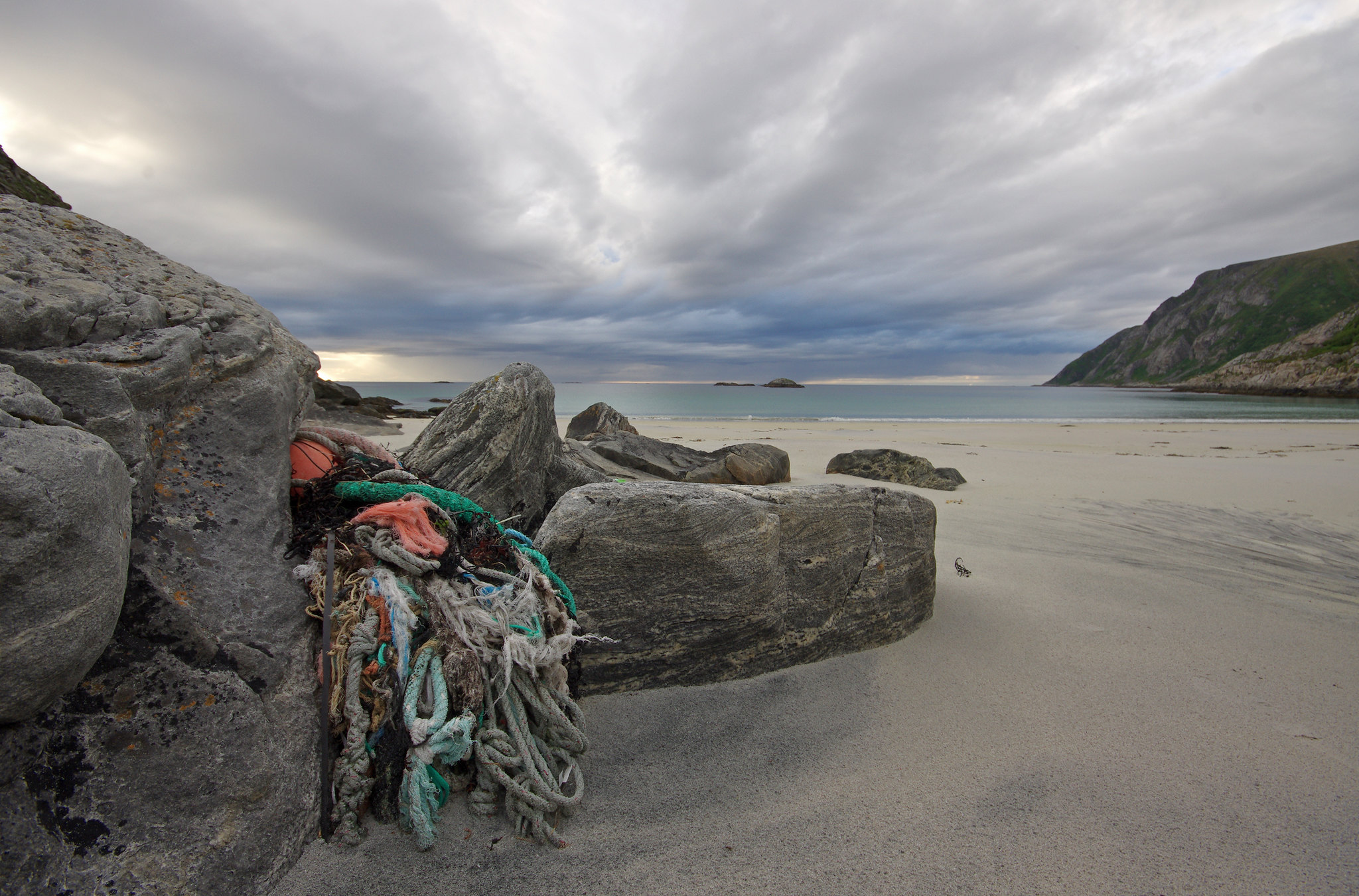 The NHBS Guide to Beachcombing