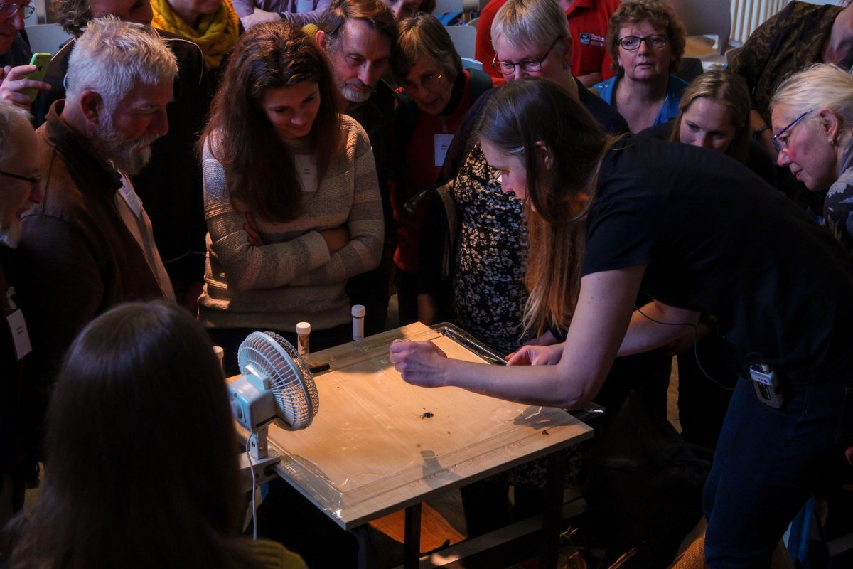 New Networks for Nature: Q&A with Amy-Jane Beer