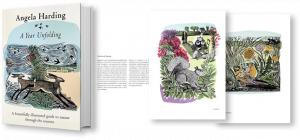 Author Interview with Angela Harding: A Year Unfolding – Hoopoe – A ...