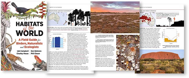Habitats banner – Hoopoe – A blog by nhbs