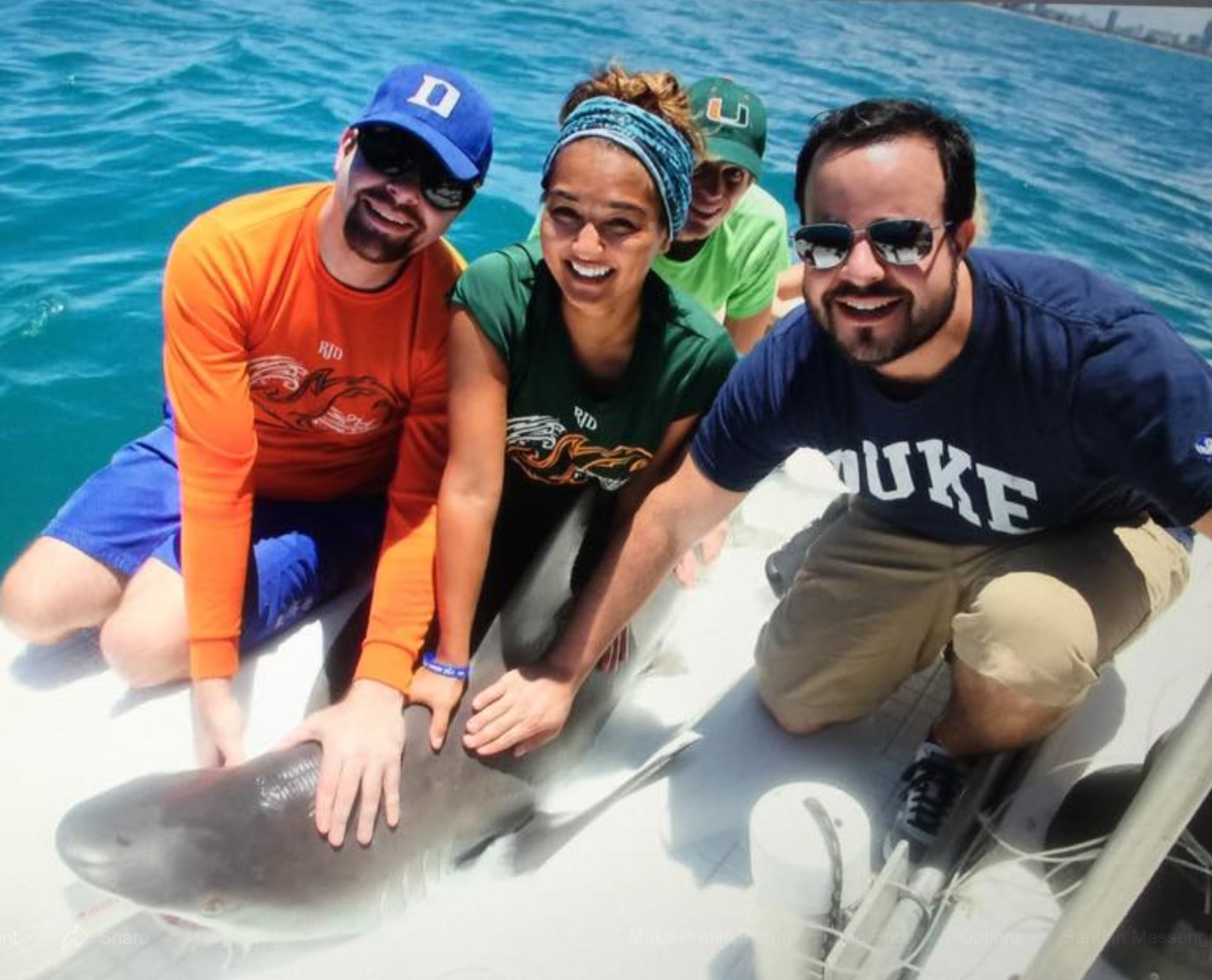 Author Interview with David Shiffman: Why Sharks Matter