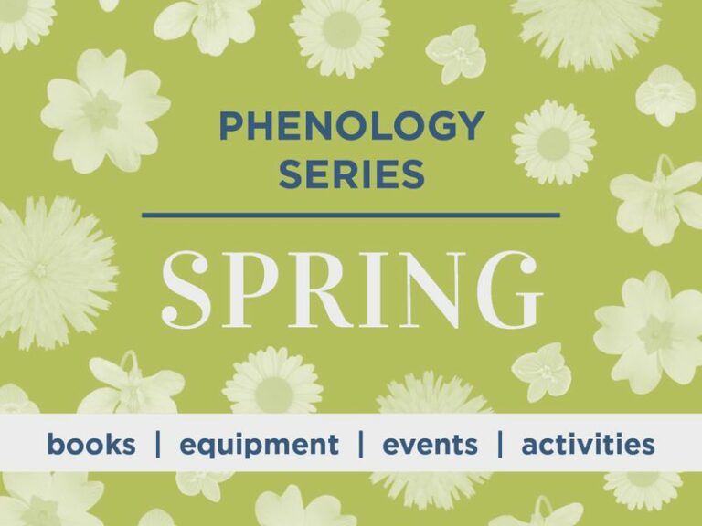 Phenology Series: Spring – Hoopoe – A blog by nhbs