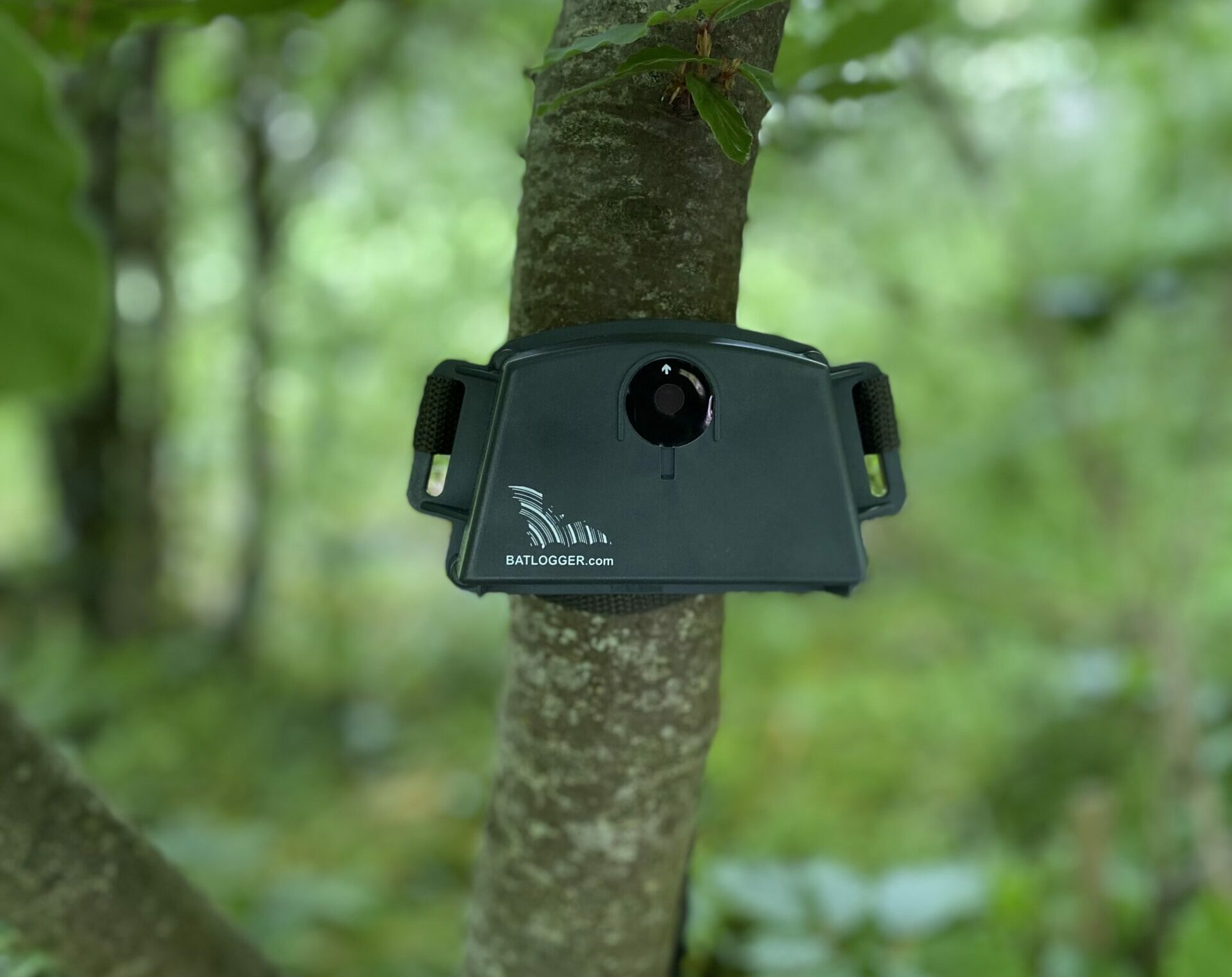 In The Field: Elekon Batlogger S2