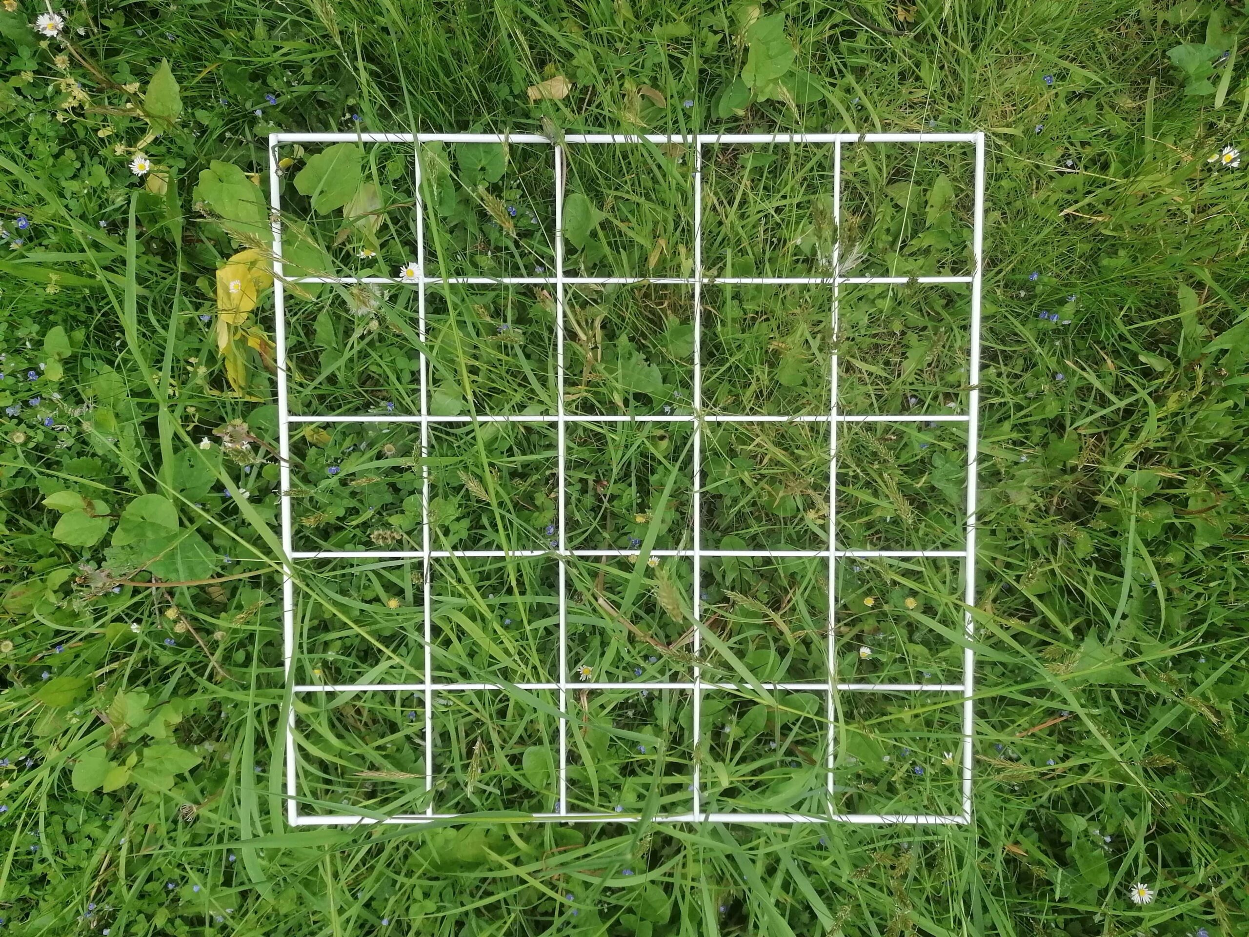 Quadrat