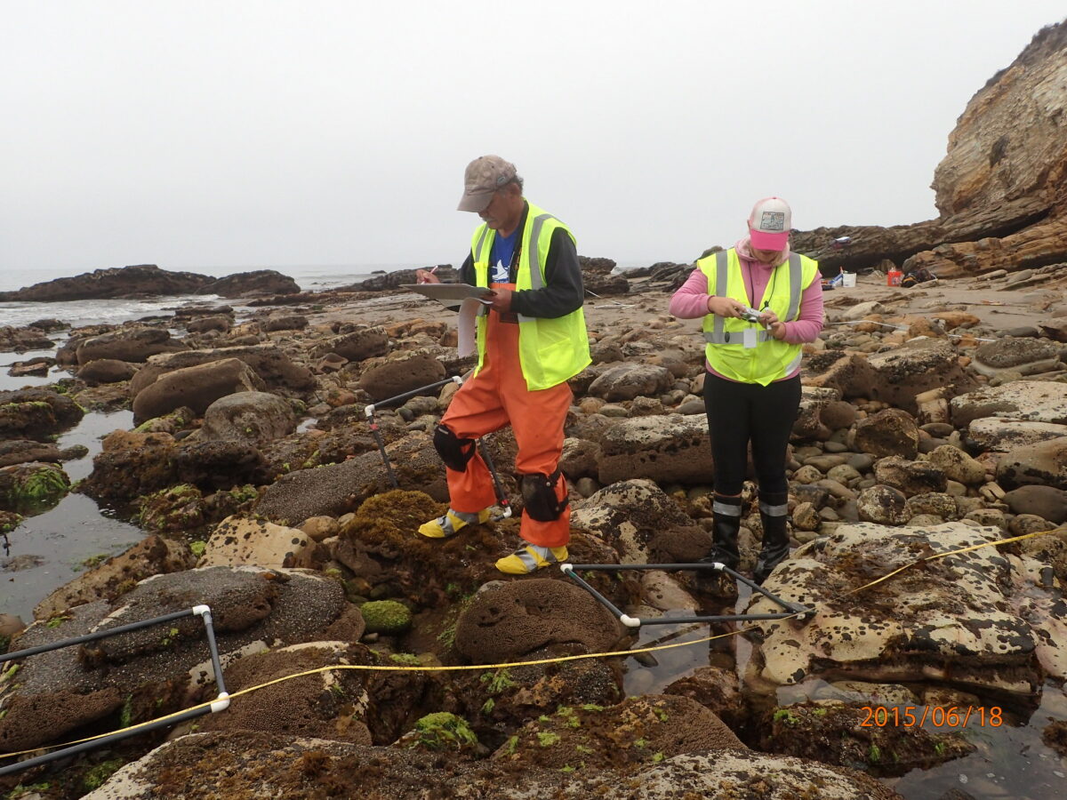 How to use a quadrat