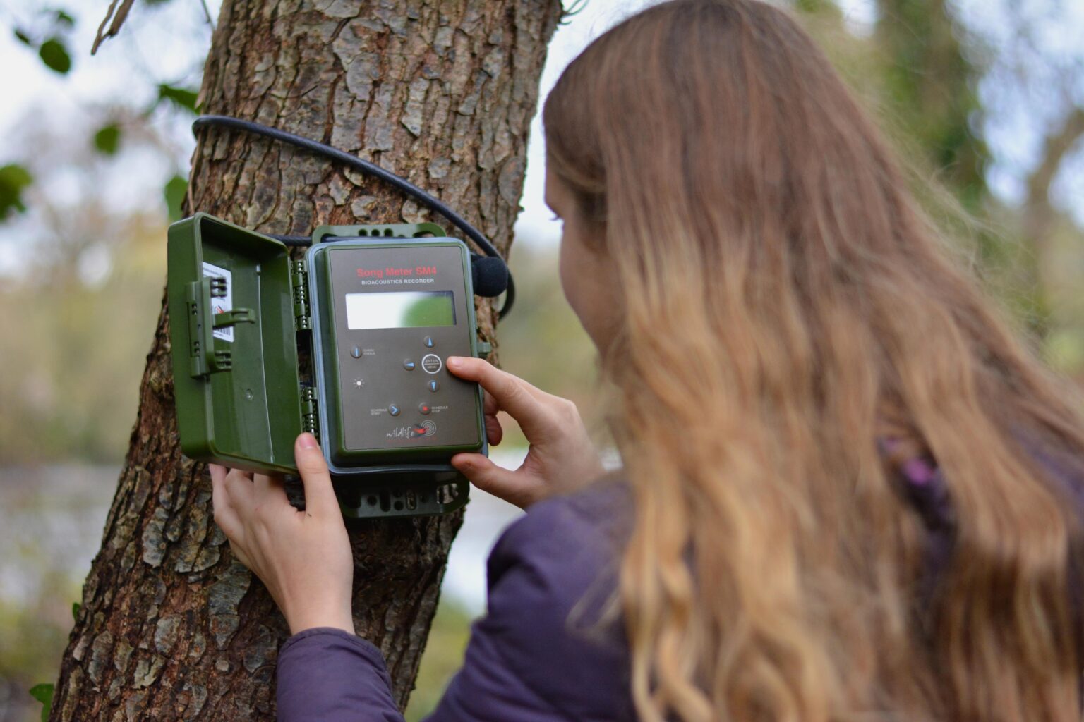 Hoopoe - A blog by nhbs