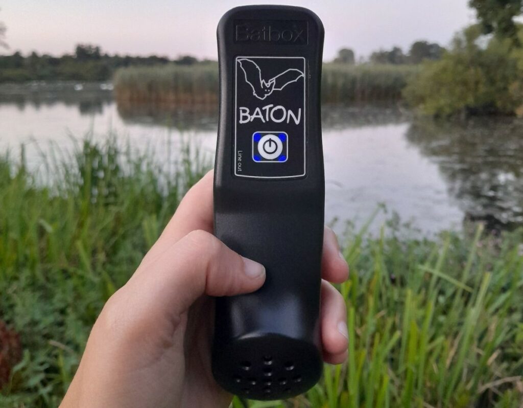 In The Field: Batbox Baton Bat Detector – Hoopoe – A blog by nhbs