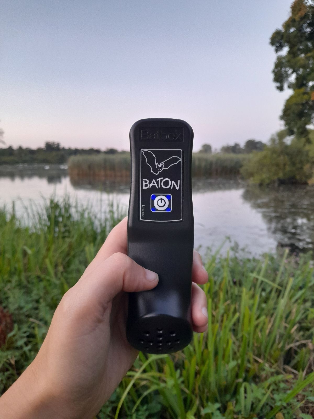 In The Field: Batbox Baton Bat Detector