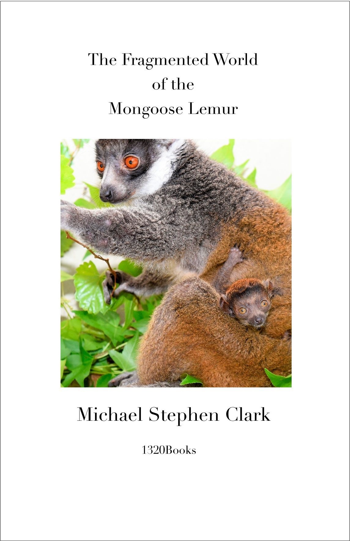 Author interview with Michael Stephen Clark: The Fragmented World of ...
