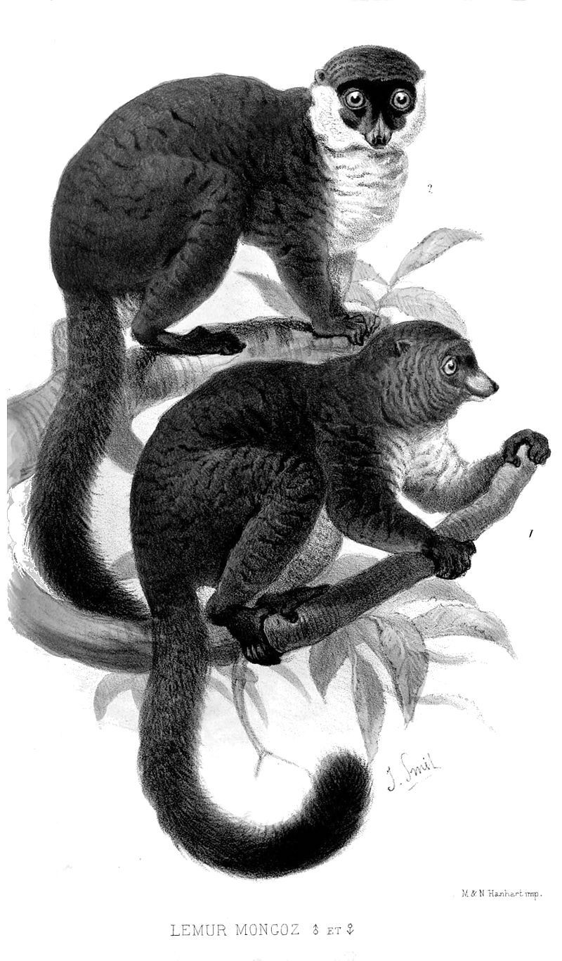 Author interview with Michael Stephen Clark: The Fragmented World of ...