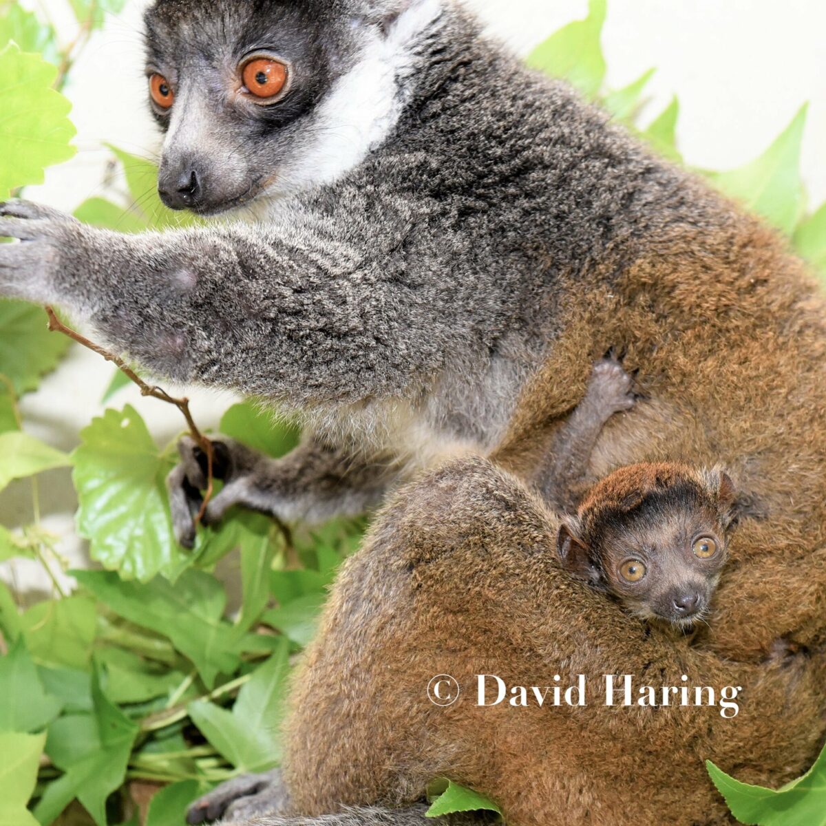 Author interview with Michael Stephen Clark: The Fragmented World of ...