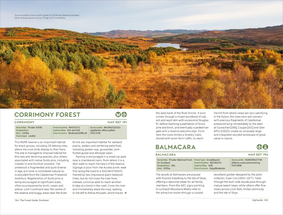 Author Interview with Gabriel Hemery: The Forest Guide Scotland