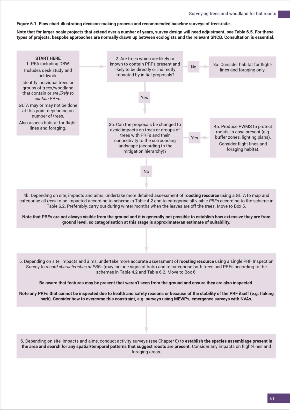 Neil Middleton on the 4th edition of Bat Surveys for Professional ...