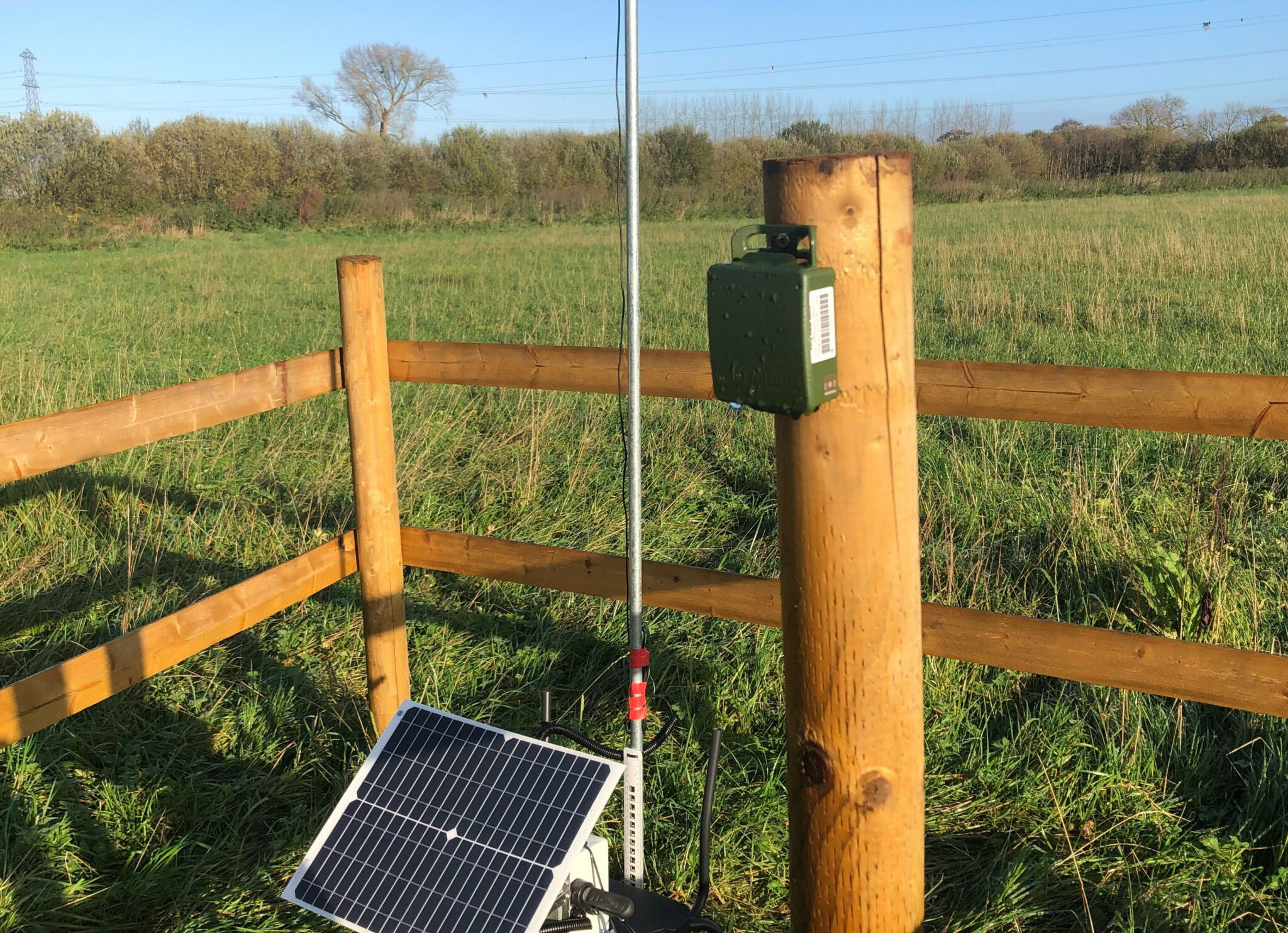 How Can We Use Sound to Measure Biodiversity? – Webinar Round-up
