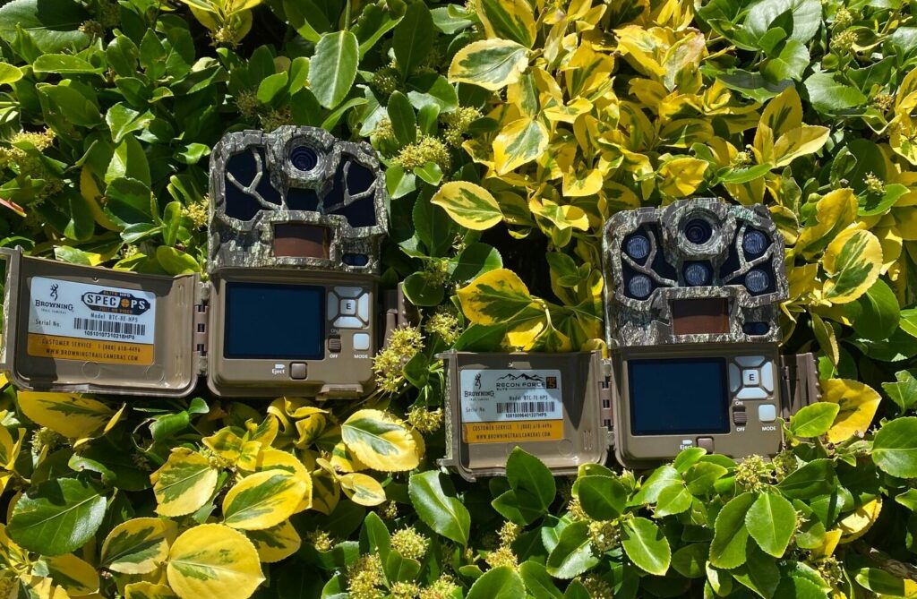 Top 5: Trail Cameras – Hoopoe – A blog by nhbs